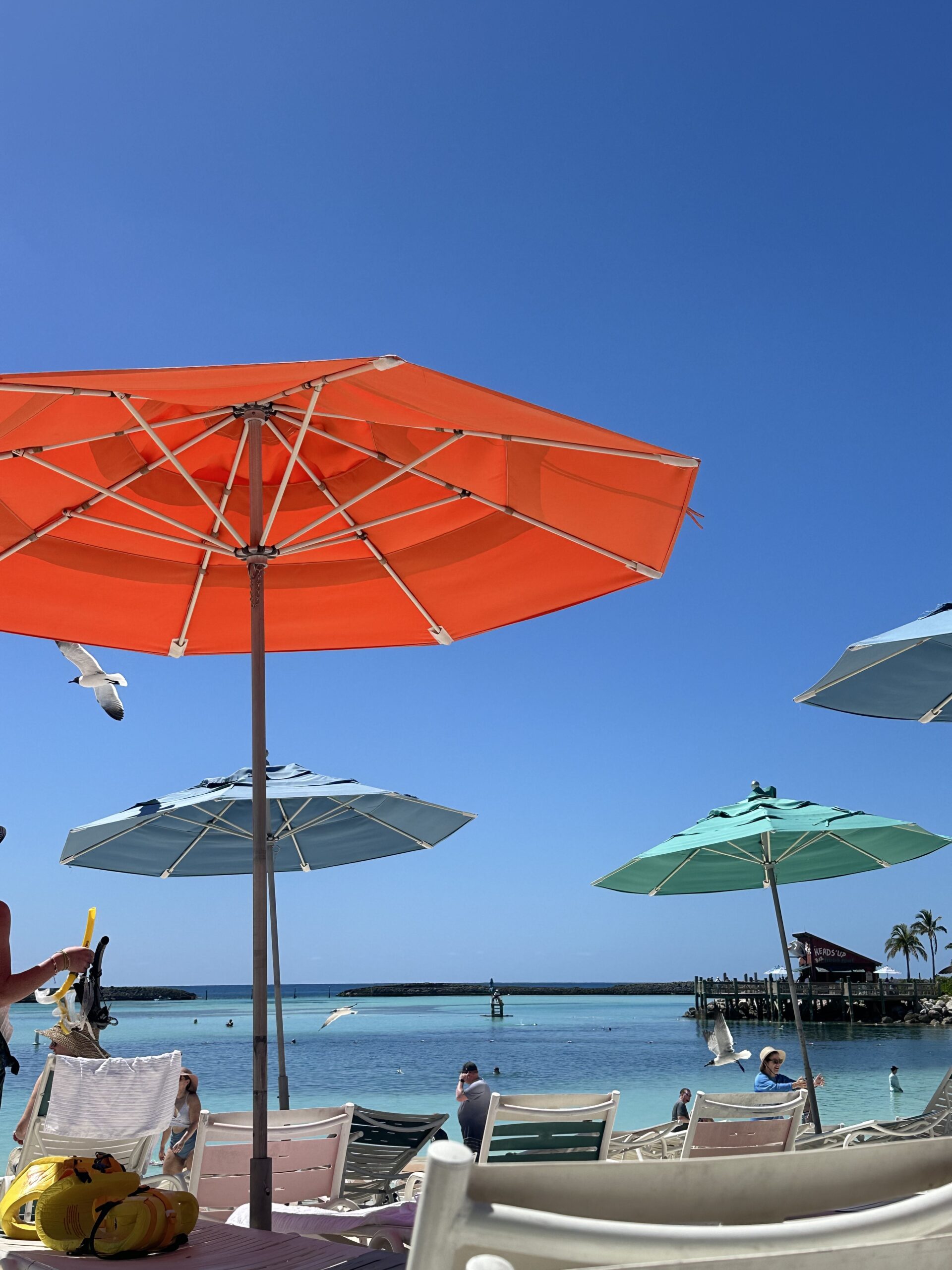 Disney Wish: My Review of the Disney Cruise - We Gotta Talk